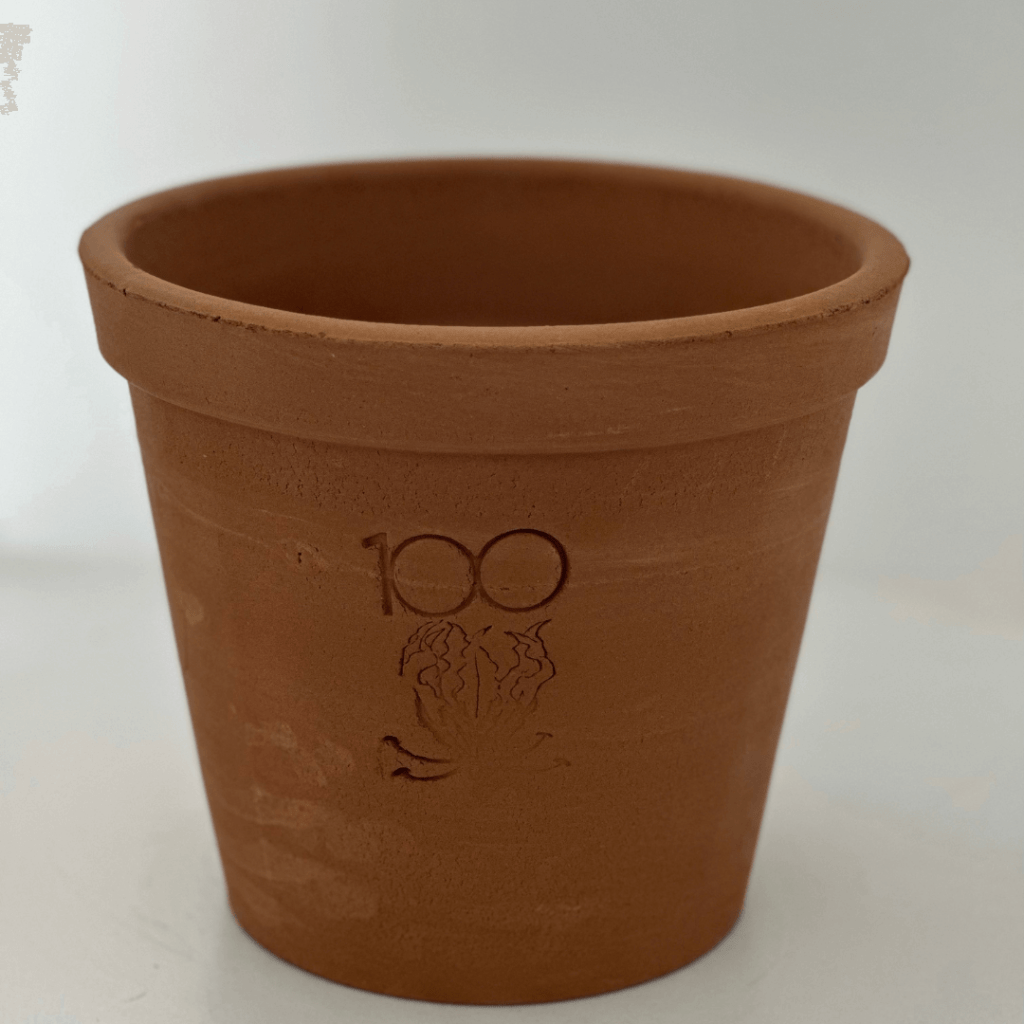 Terracotta Pot – Kenya Horticultural Society